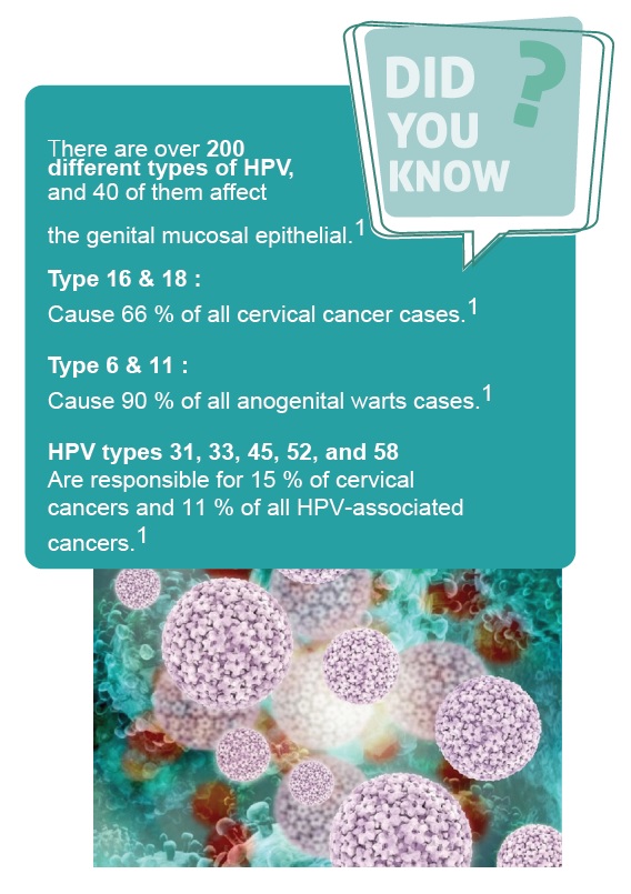 Human Papillomavirus (HPV) - Articles | Dis-Chem