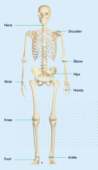 Rheumatoid Arthritis - Articles | Dis-Chem
