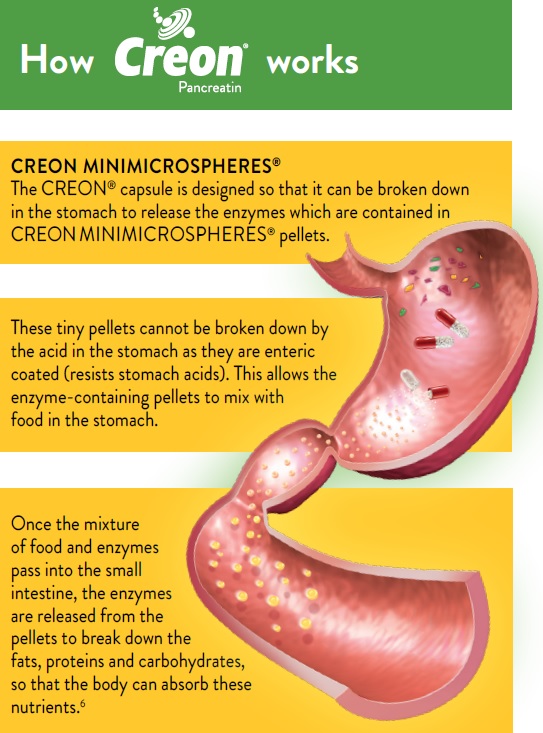 Pancreatic Disorder - Articles | Dis-Chem